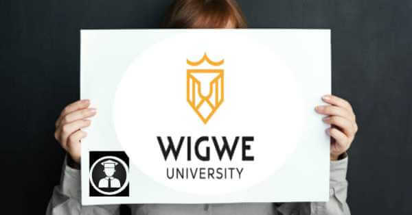 Full List Of Courses Offered In Wigwe University Nigeria